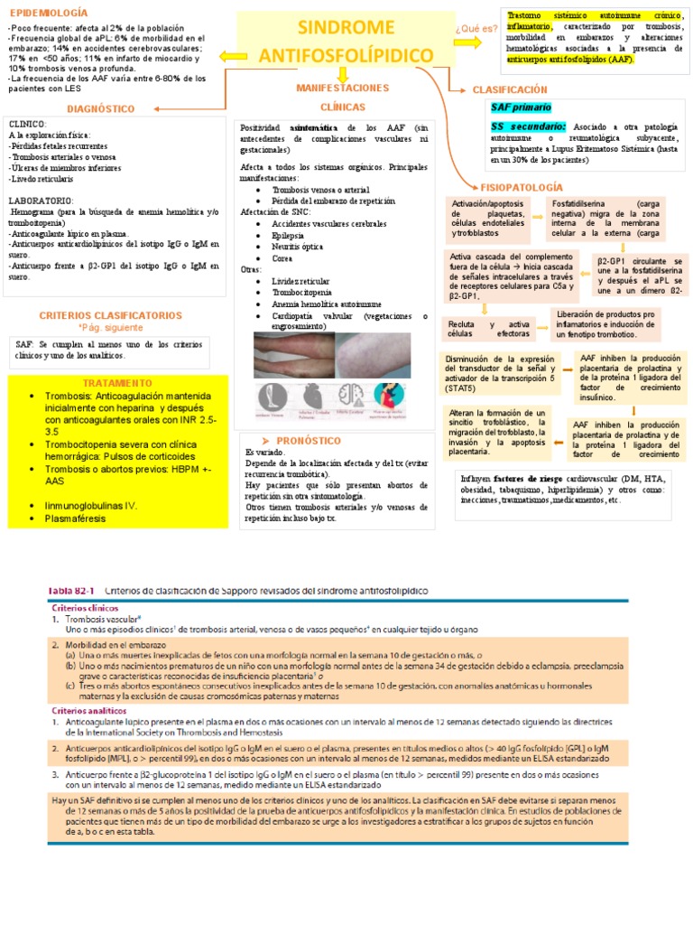 SAF (Mapa Conceptual) | PDF | Especialidades Medicas | Medicina CLINICA