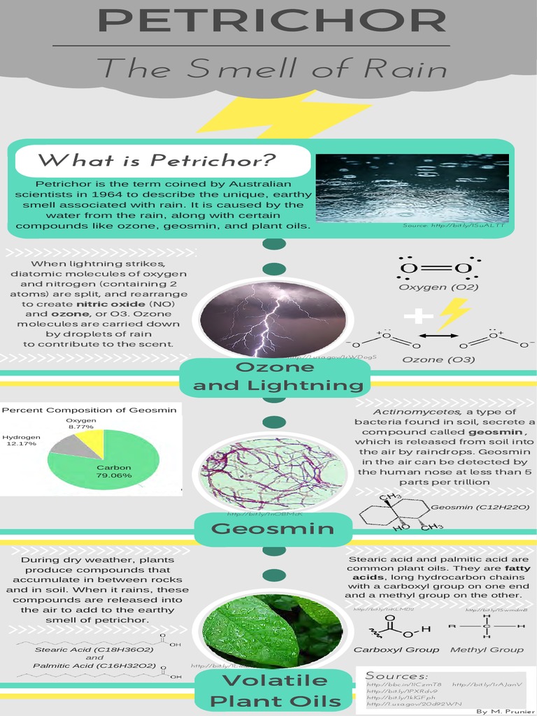 Petrichor The Smell of Rain | PDF | Ozone | Soil