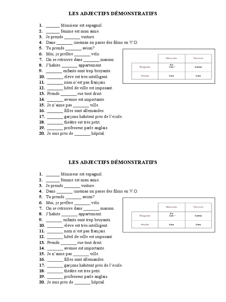 Adjectifs Demonstratifs | PDF