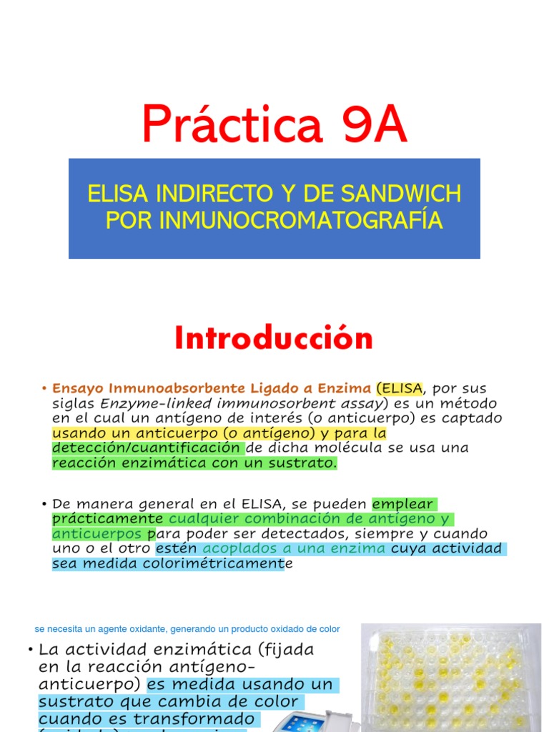 Práctica 9A ELISA e Inmunocromatografía | PDF | Elisa | Anticuerpo