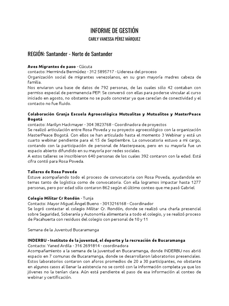 Informe de Gestión | PDF