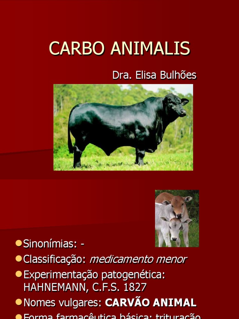 Carbo Animalis | PDF | Seio | Medicina Clínica