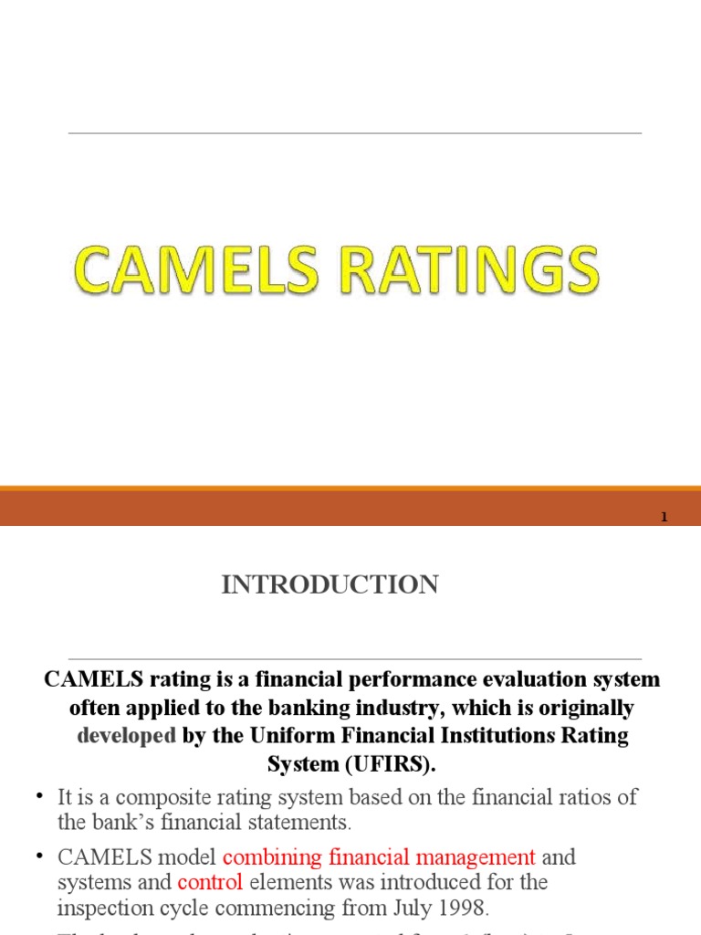 Camels Rating | PDF | Market Liquidity | Capital Requirement