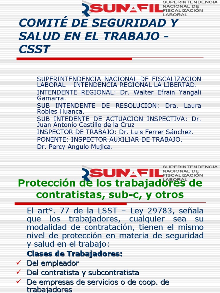 Comite de SST | PDF