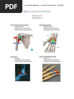 PALESTESIA Definicion y Exploración | PDF | Mano | Sistema ...