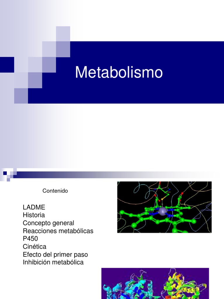 Metabolismo | PDF | Citocromo P450 | Medicamentos con receta