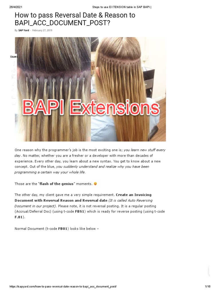 Steps To Use Extension Table In Sap Bapi Pdf Computing Computer Programming 