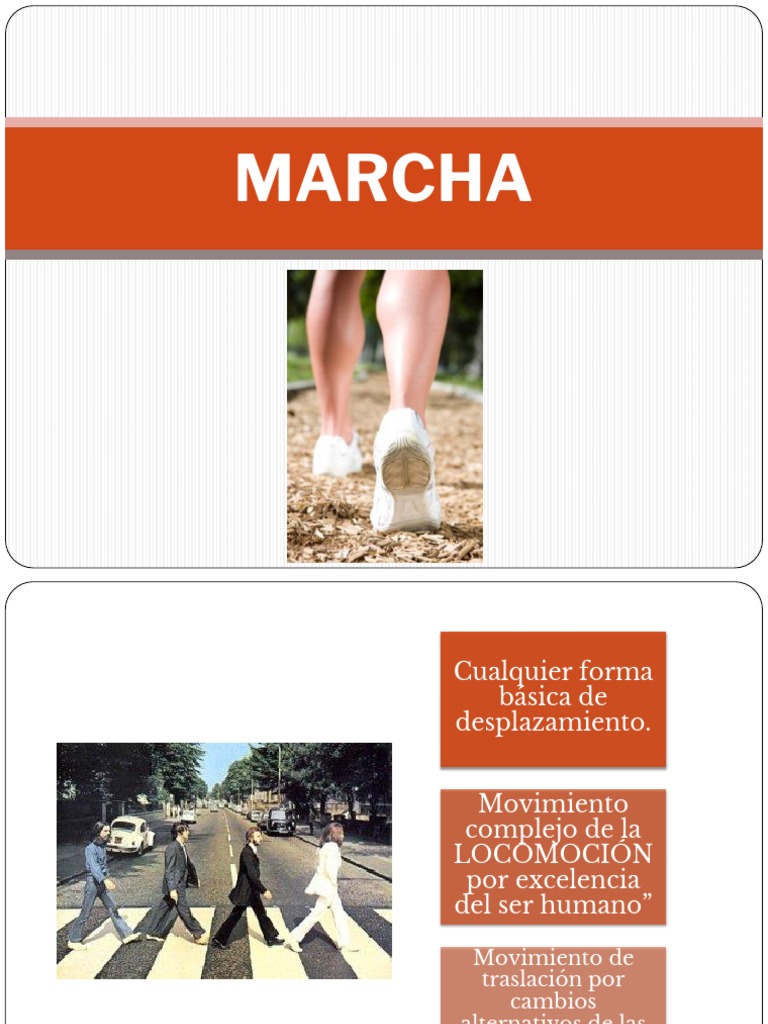 Fases de la marcha humana | PDF | Pie | Oscilación