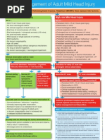 # CT Head Scan NICE Algorithm 2023 | PDF | Radiology | Causes Of Death
