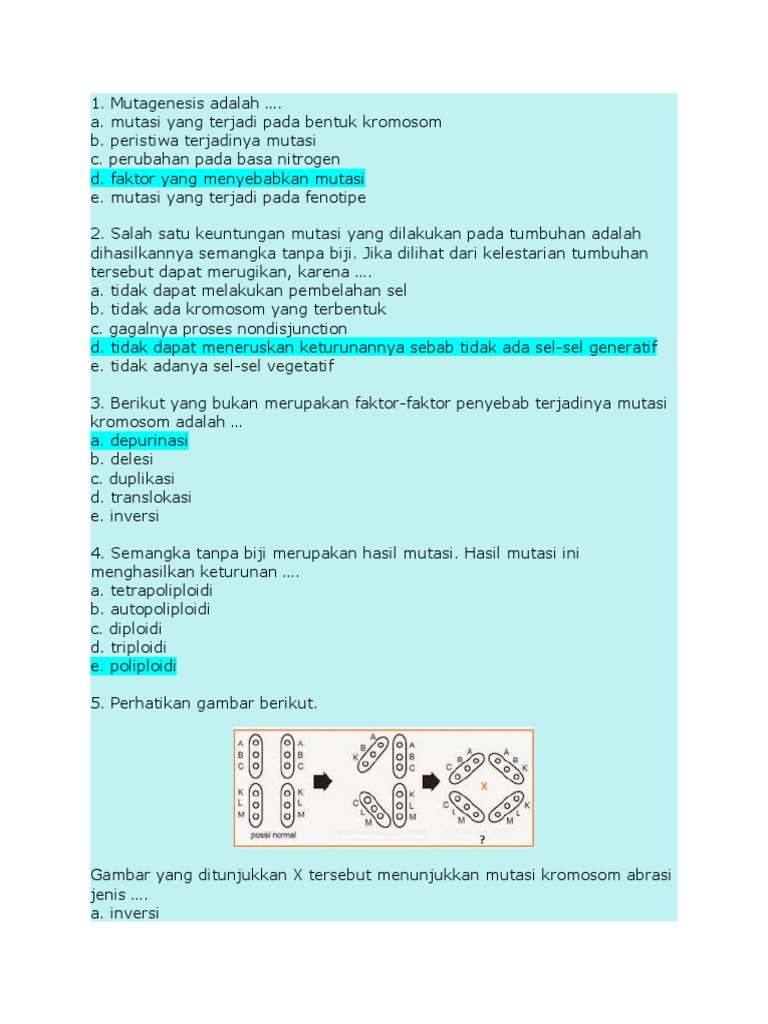 Soal Mutasi | PDF