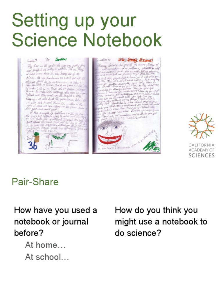Setting Up Your Science Notebook | PDF