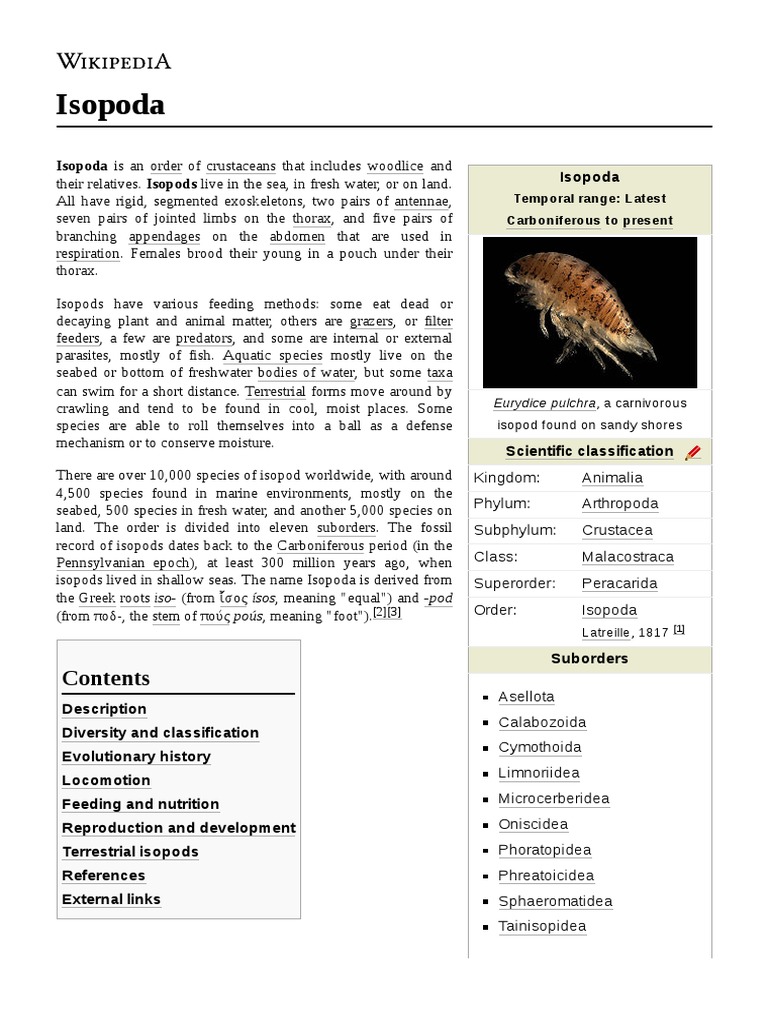 Isopoda: Temporal Range: Latest Carboniferous To Present | PDF ...
