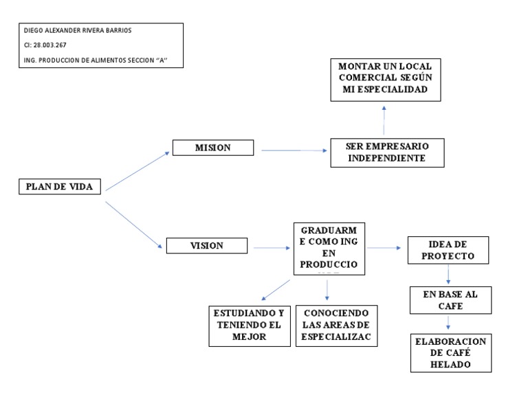 Esquema Plan De Vida Pdf