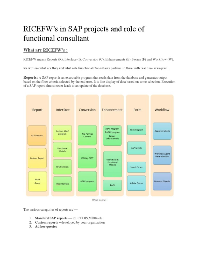 RICEFWs in SAP Projects | Download Free PDF | Databases | Class (Computer Programming)