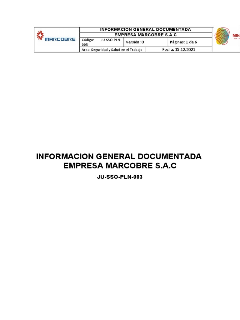 Informacion General Marcobre | PDF | Minería | Valores
