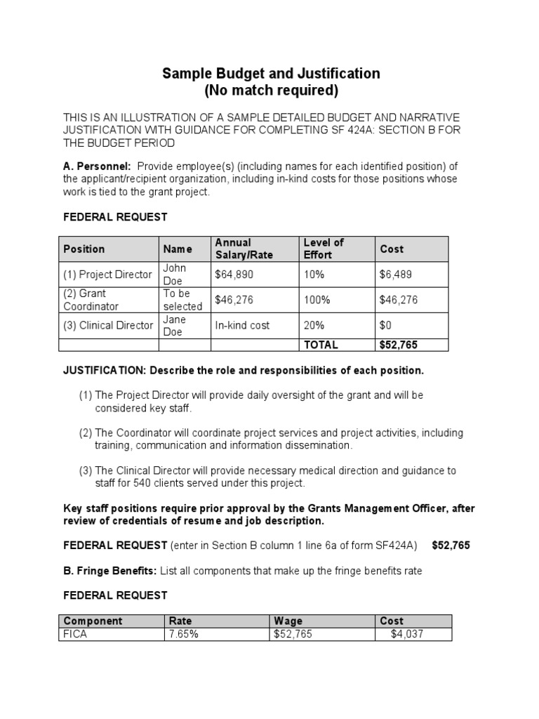 Sample Budget and Justification (No Match Required) | PDF | Employee ...