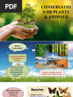 Interdisciplinary Project Class Ix | PDF