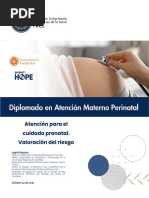 Lista de Chequeo Ruta Materno Perinatal Actualizada | PDF | Parto | El embarazo