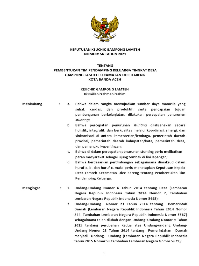 SK Tim Pendamping Keluarga Tingkat Desa Lamteh 9 (BKKBN) | PDF
