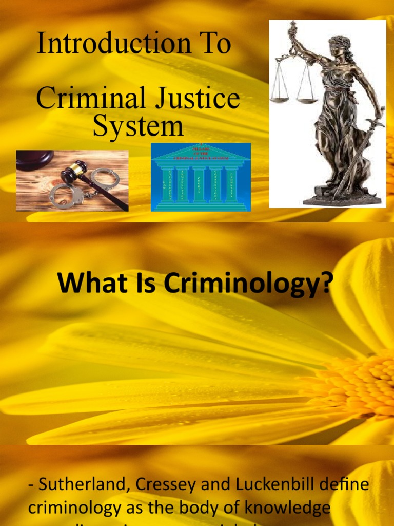 Introduction To Criminal Justice System | PDF | Burden Of Proof (Law ...