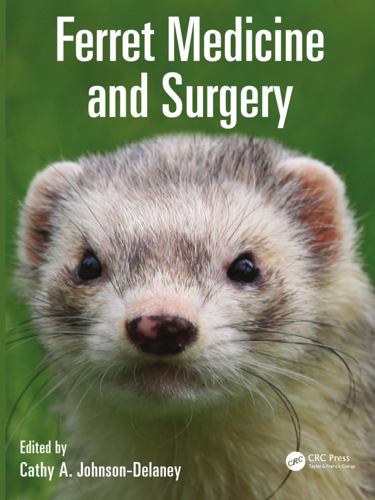 Ferret Medicine and Surgery | PDF | Gastrointestinal Tract | Vitamin