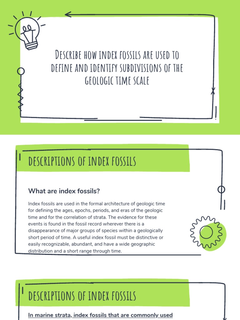 Describe How Index Fossils Are Used To Define and Identify Subdivisions ...