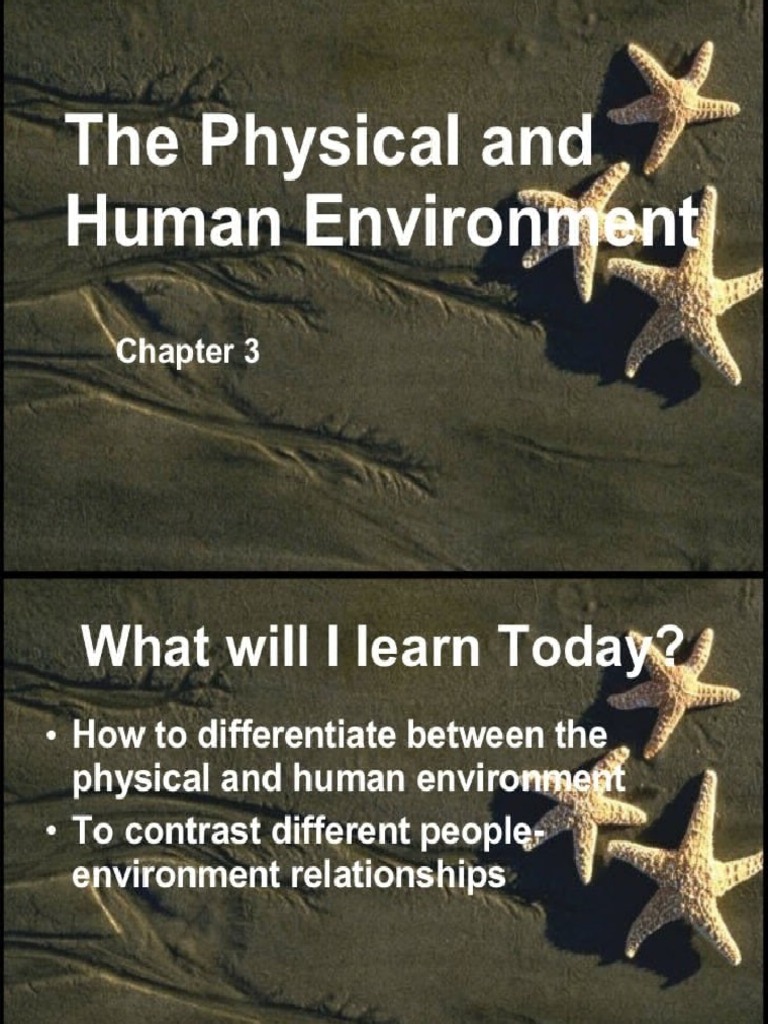 Physical & Human Environment | PDF