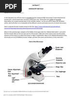 2024SUE1BIO143L UsingtheVScope 330245 | PDF | Microscope ...
