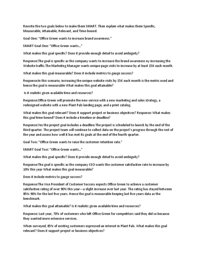 Peer Graded Assignment Pdf Goal Customer Satisfaction 9389