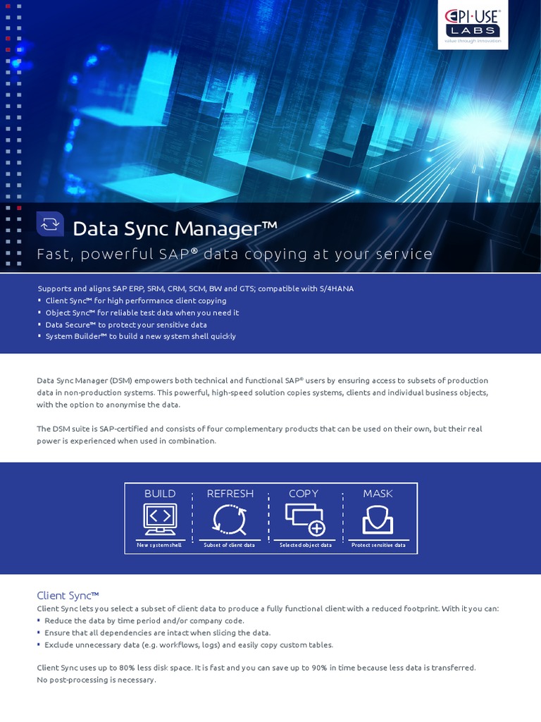 Data Sync Manager™: Fast, Powerful SAP Data Copying at Your Service ...
