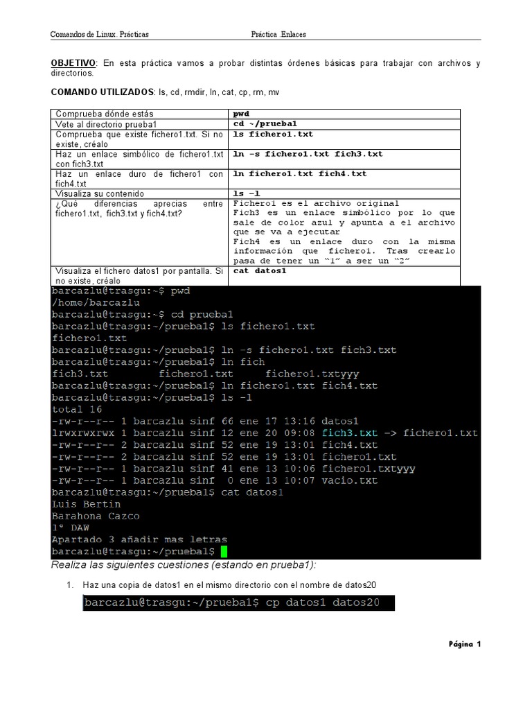 An Introduction to Common Linux Commands for Managing Files and ...