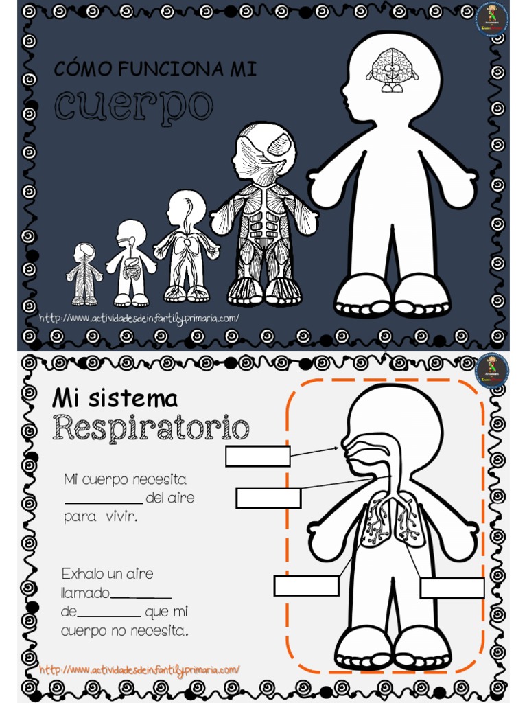 Actividades Cuerpo Humano Pdf