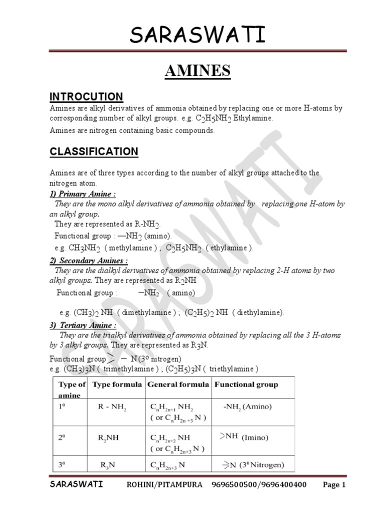 CH - 13 AMINES Notes | PDF | Amine | Organic Compounds