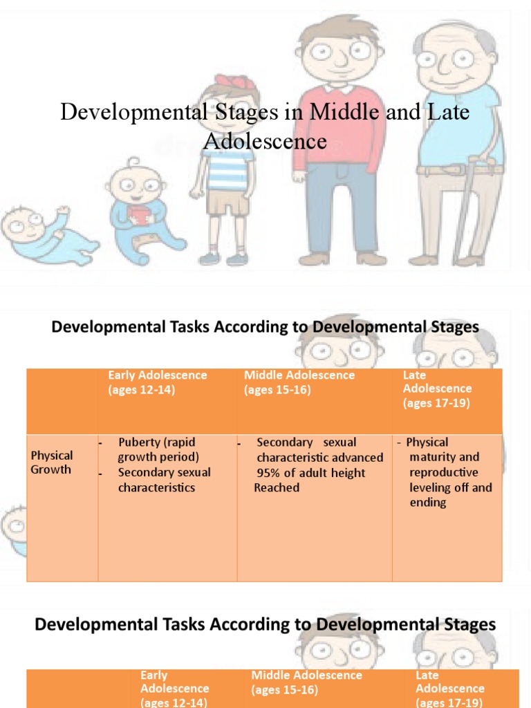 Developmental Stages in Middle and Late Adolescence PERDEV L2 | PDF | Adolescence | Cognitive ...