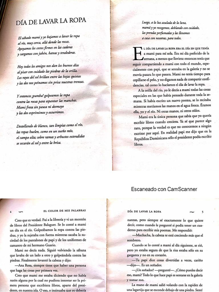 Capítulo 1 - El Color de Mis Palabras | PDF