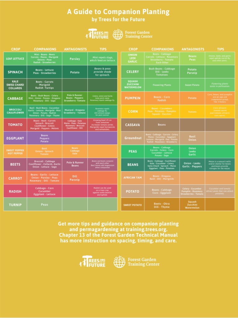 Companion Planting 101 Trees For The Future | PDF