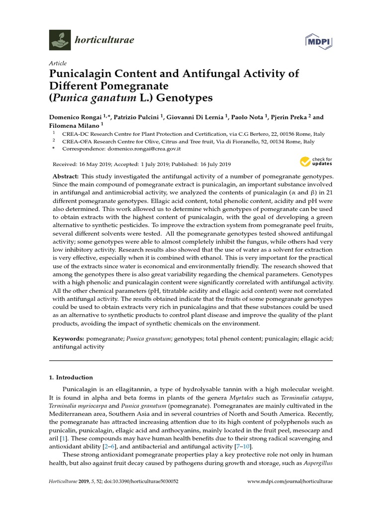 Fferent Pomegranate: Punicalagin Content and Antifungal Activity of Di ...