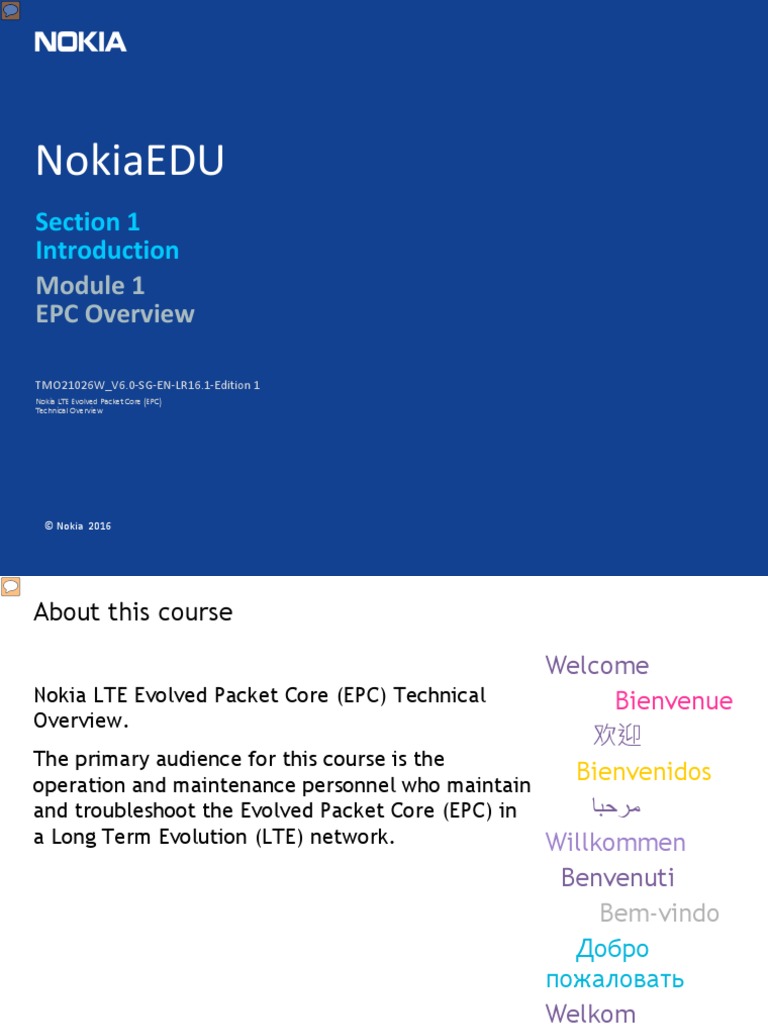 LTE EPC Technical Overview | PDF | Computer Networking | Data Transmission