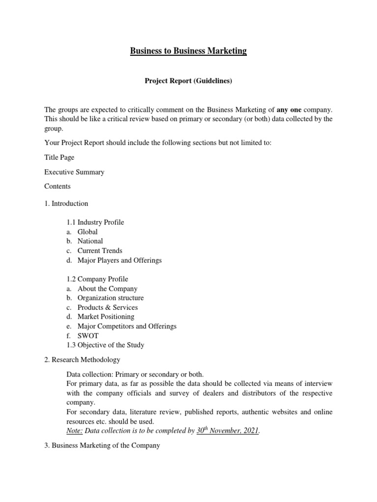 B2B Marketing Project Report Guidelines | PDF | Marketing | Swot Analysis