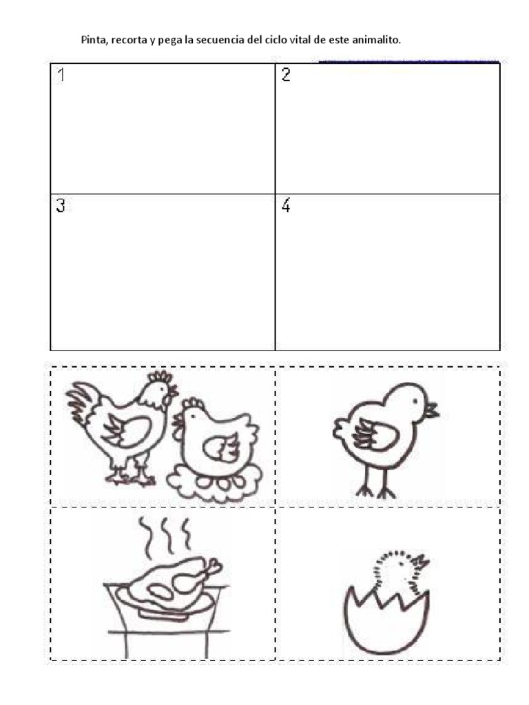 El Ciclo Vital de Los Animales. | PDF