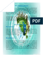 Ejemplos de Los Signos Naturales | PDF