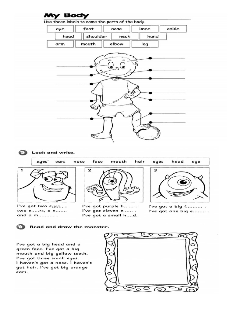 Parts of Body Worksheets | PDF