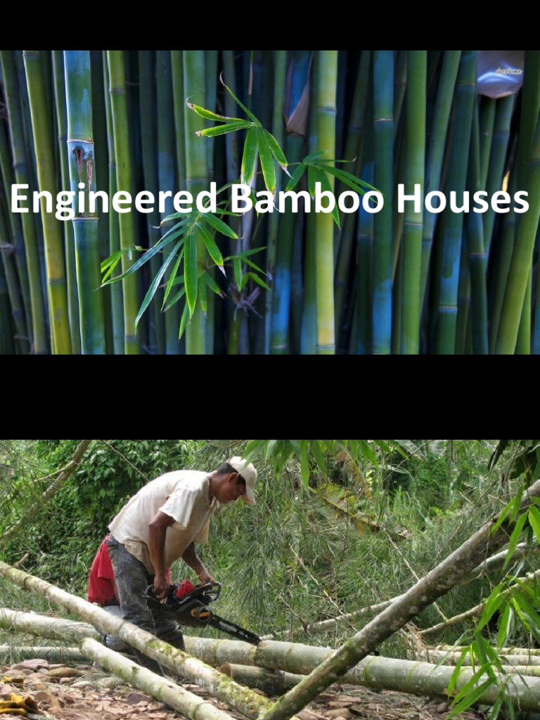Engineered Houses | PDF
