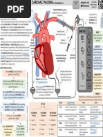 034 NHA NOW EKG Technician Practice Test | PDF | Electrocardiography ...