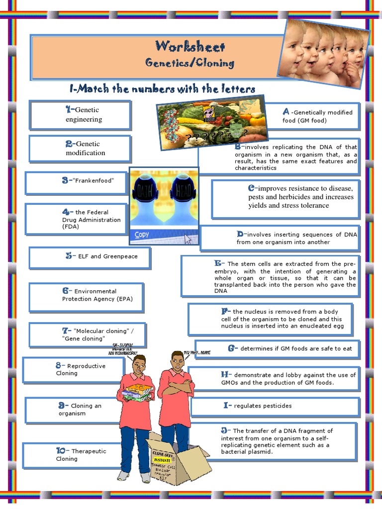 Worksheet Worksheet Worksheet Worksheet: Genetic Engineering | PDF ...