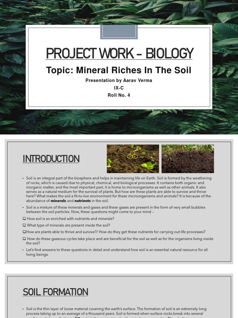 Project Work - Biology (Class Ix) | Download Free PDF | Soil | Soil ...