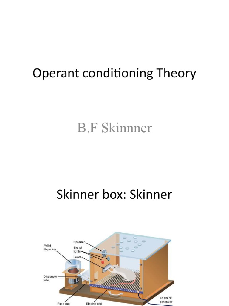 Operant Conditioning Theory: B.F Skinnner | PDF | Career & Growth ...