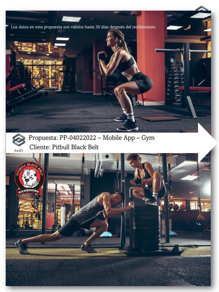 Propuesta Comercial PitBull Black Belt 04022022 | PDF | Economias | Business