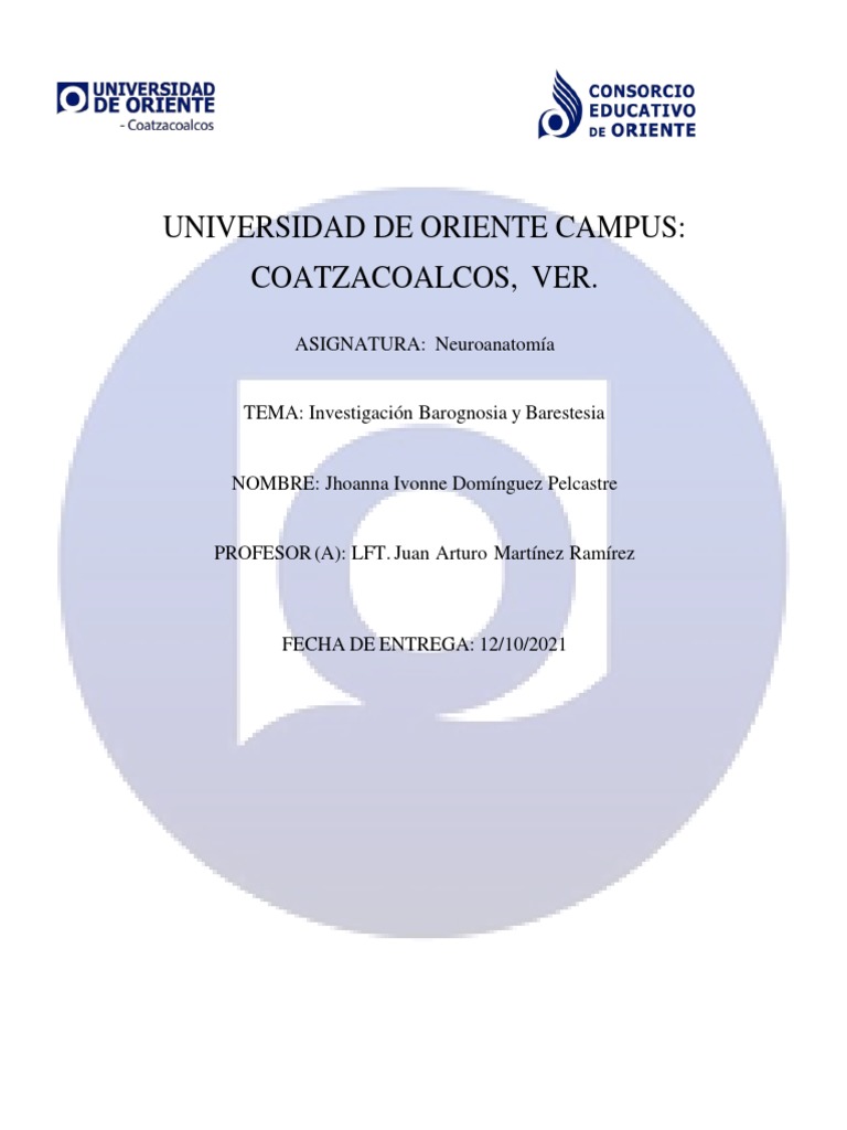 Barognosia y Barestesia | PDF