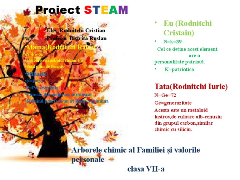 Steam | PDF